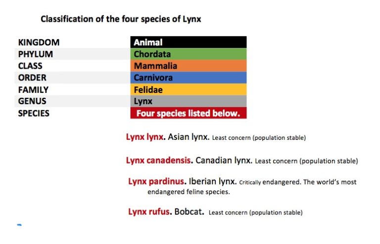 LYNX: additional resources | Bioscience Resource Project